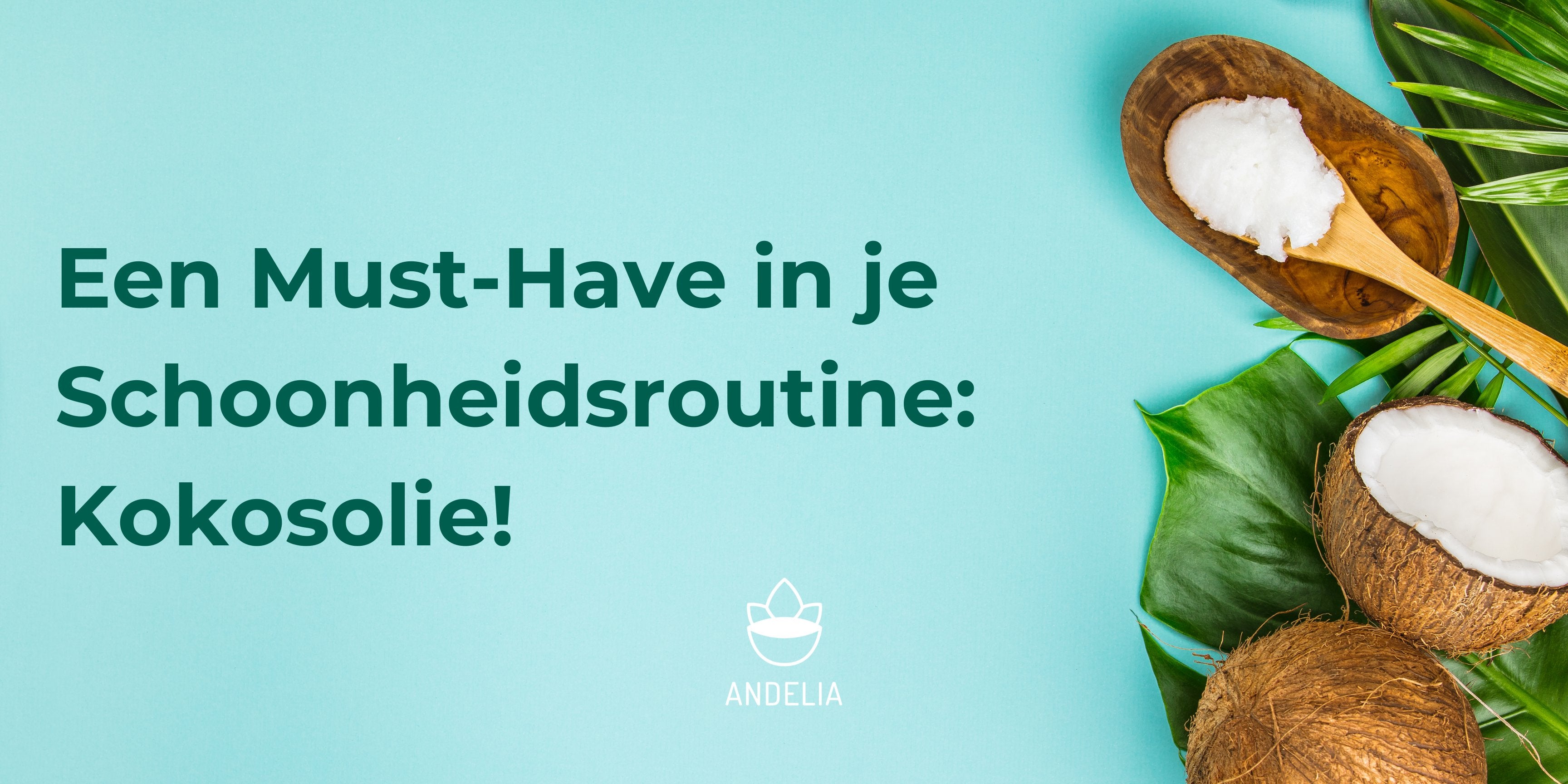 Een Must-Have in je Schoonheidsroutine: Kokosolie! - Andelia
